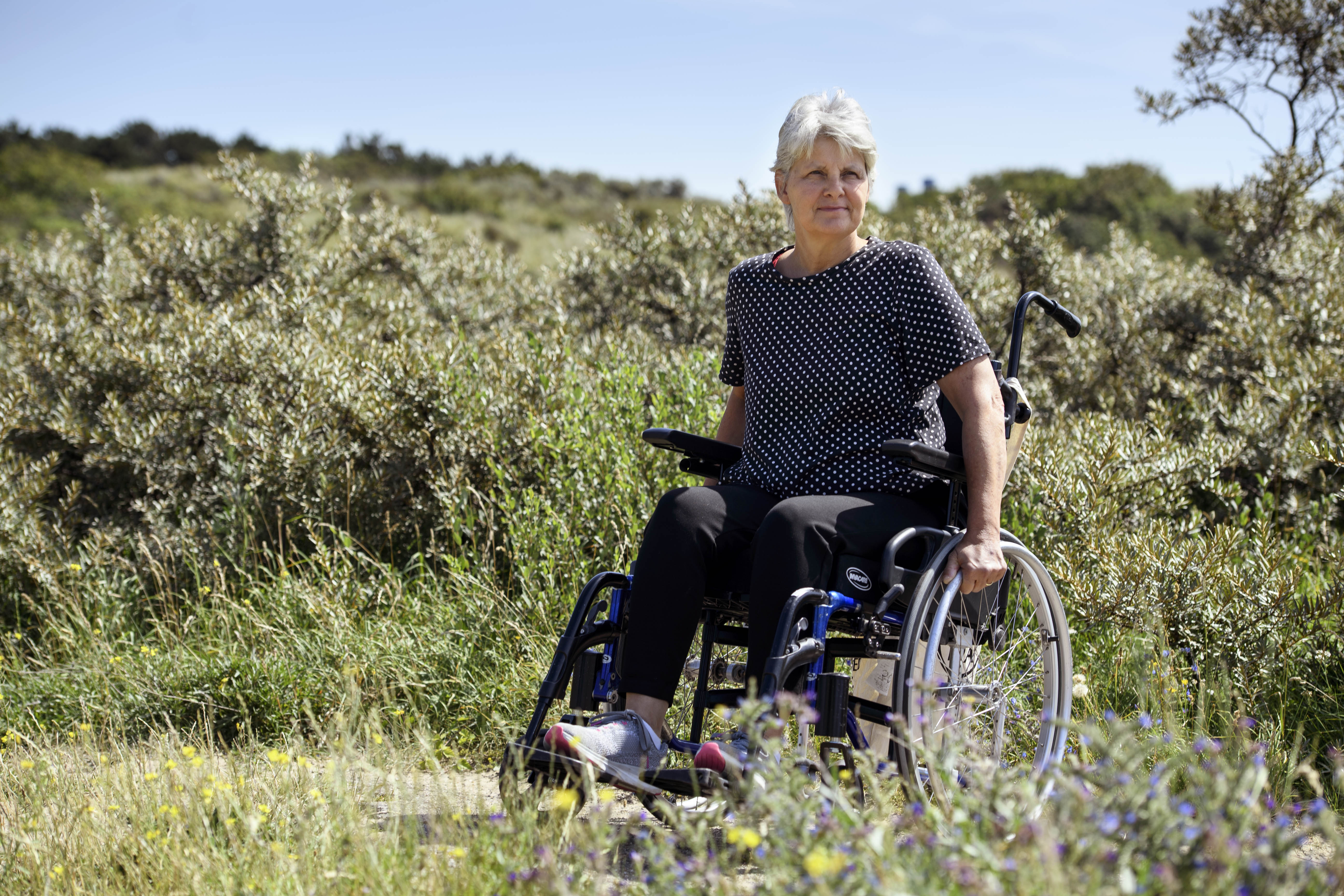 Heliomare - Homepage